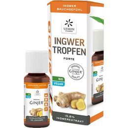 HAGER PHARMA Ingwer Ginjer forte Tropfen 20 ml