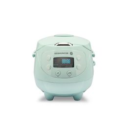 Reishunger Digitaler Mini Reiskocher, Mint, 350W, 0,6l | Gr.: onesize
