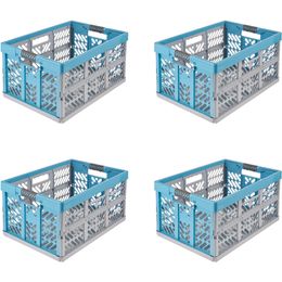 keeeper Klappbox "Profi-Klappbox ben eco mit Softgriffen (Set 4 St.) 45 l, 54x37x28 cm", B:54cm H:28cm T:37cmeco sky blau, gray, Einkaufsk&ouml;rbe,
