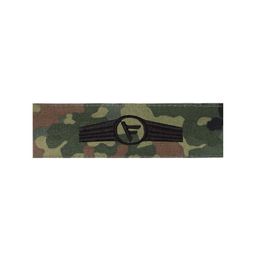 BW T&auml;tigkeitsabzeichen Textil F&uuml;hrungsdienst flecktarn