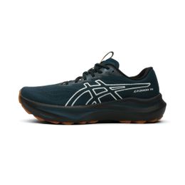 asics GT-2000 14 TR Herren