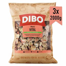 DIBO Frostfutter Men&uuml; Vital 3x2000 g