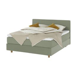 Jette Home Boxspringbett Jette Flex gr&uuml;n Ma&szlig;e (cm): B: 165 H: 120,5 &raquo; M&ouml;bel Kraft
