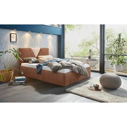 Polsterbett "Malibu", braun (braun, beige), B:152cm L:212cm, Bezug Bett: Microfaser (100% Polyester);Bonnell-Federkernmatratze: 51% Polypropylen, 39% Polyester und 10% Baumwolle;Kaltschaummatratze: 100% Polyester, Bezug abnehm- und waschbar bis 60C, Westfalia Schlafkomfort, Betten, Polsterbett, inkl. Bettkasten bei Ausf&uuml;hrung mit Matratze