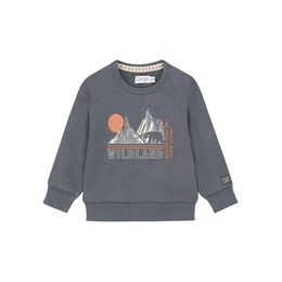 Dirkje Sweatshirt in Anthrazit - 52% | Gr&ouml;&szlig;e 68 | Baby-sweatshirts-jacken