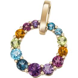 Kettenanhänger Firetti "Schmuck Geschenk Silber 925 Halsschmuck Anhänger Kreis Regenbogen", bunt (gelbgoldfarben, dunkelblau, pink, rostrot, gelb, hellgrün, hellblau, lila, dunkelblau, pink, rostrot, gelb, hellgrün, hellblau, lila), Schmuckanhänger, Damen, Silber 925 (Sterlingsilber), 2 g, Kettenanhänger, mit Topas (behandelt), Amethyst, Citrin, Peridot, Rhodolith, Topas