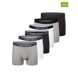 Camano 6er-Set: Boxershorts in Weiß/ Schwarz/ Grau - 50% | Größe XL | Herren-waesche