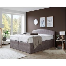 Boxspringbett "Madeira", grau, B:215cm L:210cm, Westfalia Schlafkomfort, Komplettbetten, Boxspringbett
