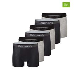 Camano 6er-Set: Boxershorts in Schwarz/ Grau - 50% | Größe M | Herren-waesche