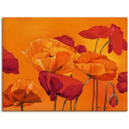 Artland Wandbild &raquo;Mohnblume&laquo; Blumen 1 Stk. tlg. als Leinwandbild, Poster in verschied. Gr&ouml;&szlig;en orange Leinwand