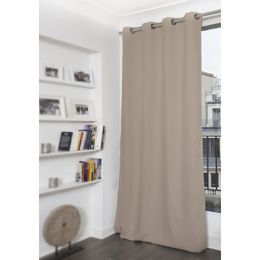 MOONDREAM Vorhang &raquo;Black out&laquo; &Ouml;sen 1 Stk. tlg. taupe Obermaterial: 100% Polyester 260 cm