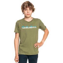 Quiksilver T-Shirt »Primary Colours« grün 8(125-130cm) 8(125-130cm) Stoff: leichter Baumwoll-Jersey [160 g/m2]