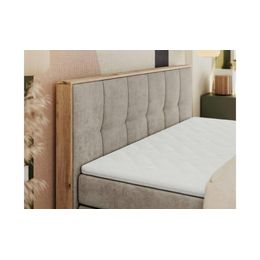 H&ouml;ffner Boxspringbett mit Bettkasten Albero 1 King beige Ma&szlig;e (cm): B: 208 H: 113 &raquo; H&ouml;ffner