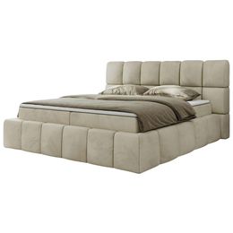 H&ouml;ffner Boxbett mit Bettkasten Nira &brvbar; beige &brvbar; Ma&szlig;e (cm): B: 154 H: 113 &raquo; H&ouml;ffner