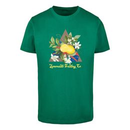 Mister Tee T-Shirt 'Lemonade' Herren Gr&ouml;&szlig;e XL blau / gelb / gr&uuml;n / wei&szlig;