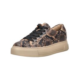 Sneaker Paul Green "Paul Green Sneaker Glattleder", Damen, Gr. 38,5, braun, Glattleder, Schuhe Sneaker
