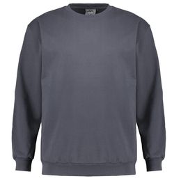 Gro&szlig;e Gr&ouml;&szlig;en Ahorn Basic Sweatshirt aus Baumwolle Farbe grau Gr&ouml;&szlig;e: 7XL