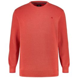 Gro&szlig;e Gr&ouml;&szlig;en Lerros Pullover aus Baumwolle Farbe orange Gr&ouml;&szlig;e: 5XL