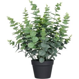 Kunstpflanze Creativ green "Eukalyptus gunnii", grün (grün, grau), H:60cm, Kunststoff, Kunstpflanzen, Kunstpflanze, in UV-beständiger Ausführung