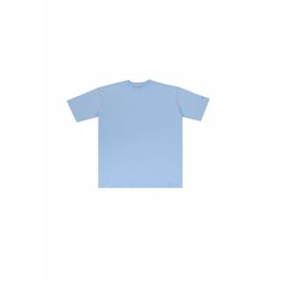 T-Shirt DROPSIZE "Dropsize Regular Fit T-Shirt", Damen, Gr. L, baby blau, 100% Baumwolle, unifarben, normal, Rundhals, Shirts T-Shirt