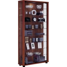 Standvitrine Vcm, B:59cmkern, nussbaum, Obermaterial: 100% Holz Wood., Schr&auml;nke, "Holz Glas Stand Vitrine Sammelvitrine Lumo Maxi"