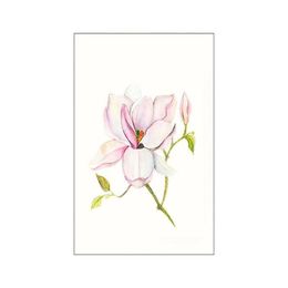 Komar Bild "Magnolia Shine", B/H/T: 50cm x 70cm, Blumen, 1 Stk., bunt, Wohnzimmer, Bilder, Wandbild zur Dekoration - ohne Rahmen