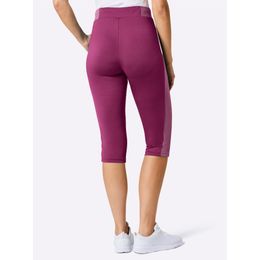 Catamaran Damen Funktionshose, lila, Gr. 40, unifarben, 85% Polyester, 15% Elasthan, Hosen