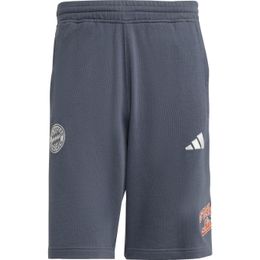 Adidas FC Bayern M&uuml;nchen Fu&szlig;ballshorts Herren - Gr&ouml;&szlig;e S - grau
