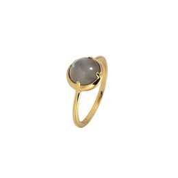 Stilnest Ring 'Instants of Balance' Damen Gr&ouml;&szlig;e 64 gold / grau