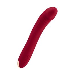 EIS Silikon-G-Punk-Vibrator mit Boost-Funktion, 22 cm