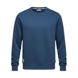 Ombre Sweatshirt male Blue size S