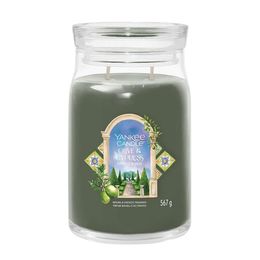 yankee candle Duftkerze "Olive & Cypress" - 567 g - 10% | Kerzen-vasen