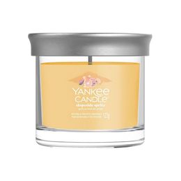 yankee candle Duftkerze ''Slopeside Spritz'' - 122 g - 11% | Kerzen-vasen