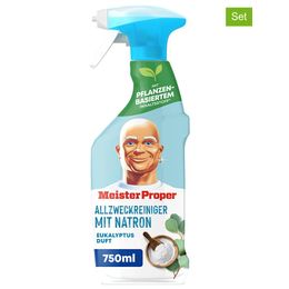 Meister Proper 5er-Set: Allzweckreiniger "Mit Natron", je 750 ml - 13% | Putzutensilien