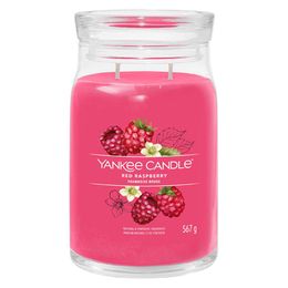 yankee candle Duftkerze "Red Raspberry" - 567 g - 10% | Kerzen-vasen