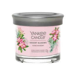 yankee candle Tumbler-Kerze "Dessert Blooms" in Rosa - 122 g - 12% | Kerzen-vasen