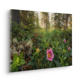 Komar Leinwandbild &raquo;Charming Woods - Gr&ouml;&szlig;e 60 x 40 cm&laquo; Baum Berge Blumen Bl&auml;tter Foto Jahreszeiten Landschaft Meer Natur Palmen Strand Packung, 1 Stk. tlg. 