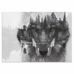 Home Affaire Acrylglasbild »Wolf« Baum Baumbilder Schwarz-Weiß See Seebilder Seelandschaft Tiere Wildtiere Wolfbilder Yosemite...