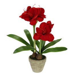 I.GE.A. Kunstblume &raquo;Amaryllis im Topf&laquo; 50cm Blume Weihnachtsblume Weihnachtsdeko Winterblume Floristik rot