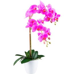 Creativ green Kunstorchidee &raquo;Orchidee Phalaenopsis&laquo; mit real-touch-Bl&uuml;ten lila