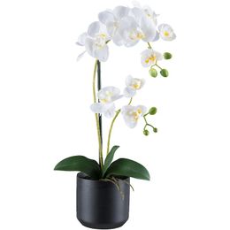 Creativ green Kunstorchidee &raquo;Orchidee Phalaenopsis&laquo; mit Keramiktopf in matter Farbgebung wei&szlig;