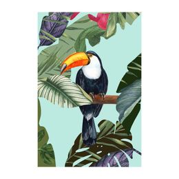 Komar Bild &raquo;Toco Toucan&laquo; Natur 1 Stk. tlg. Wandbild zur Dekoration - ohne Rahmen bunt Holz, Papier
