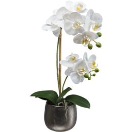 Creativ green Kunstorchidee &raquo;Orchidee Phalaenopsis&laquo; mit real-touch-Bl&uuml;ten wei&szlig; Kunststoff