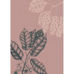 Komar Bild &raquo;Wild Berry&laquo; Natur 1 Stk. tlg. Wandbild zur Dekoration - ohne Rahmen rosa Holz, Papier