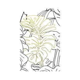 Komar Bild &raquo;Monstera Borsigiana&laquo; Natur 1 Stk. tlg. Wandbild zur Dekoration - ohne Rahmen gr&uuml;n Holz, Papier