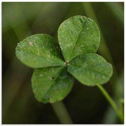 Artland Glasbild &raquo;Kleeblatt&laquo; Bl&auml;tter 1 Stk. tlg. in verschiedenen Gr&ouml;&szlig;en gr&uuml;n Glas