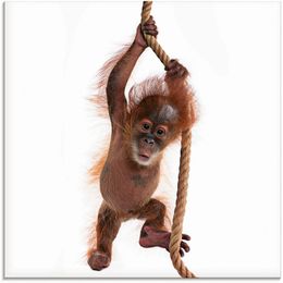 Artland Glasbild »Baby Orang Utan hängt am Seil I« Wildtiere 1 Stk. tlg. in verschiedenen Größen Farbe Bild(er): weiß