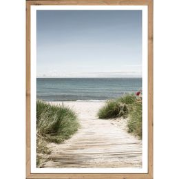 Bild mit Rahmen D&uuml;ne Gr&auml;ser K&uuml;ste Landschaft Meer Natur Strand 1 Stk. tlg. braun MDF, Papier