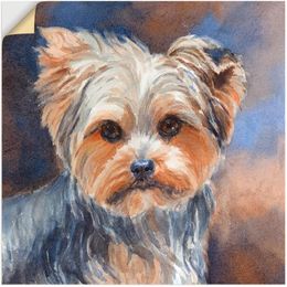 Artland Wandbild &raquo;Sadie Belle Yorkshire Terrier&laquo; Haustiere 1 Stk. tlg. als Leinwandbild, Poster, Wandaufkleber in verschied. Gr&ouml;&szlig;en Farbe Bild(er):...