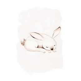 Komar Bild &raquo;Sleepy Bunny&laquo; Natur 1 Stk. tlg. Wandbild zur Dekoration - ohne Rahmen schwarz Holz, Papier